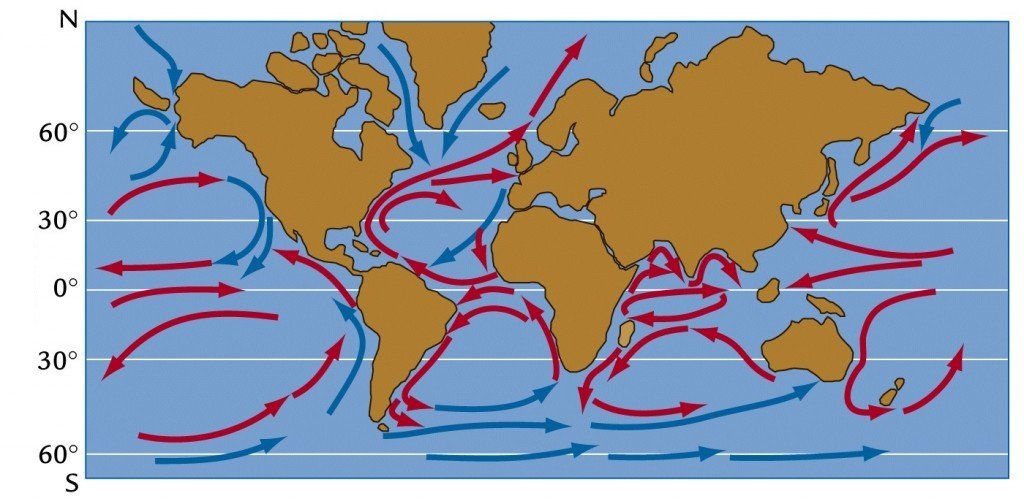 Corrientes Marinas ~ Definición , tipos y causas